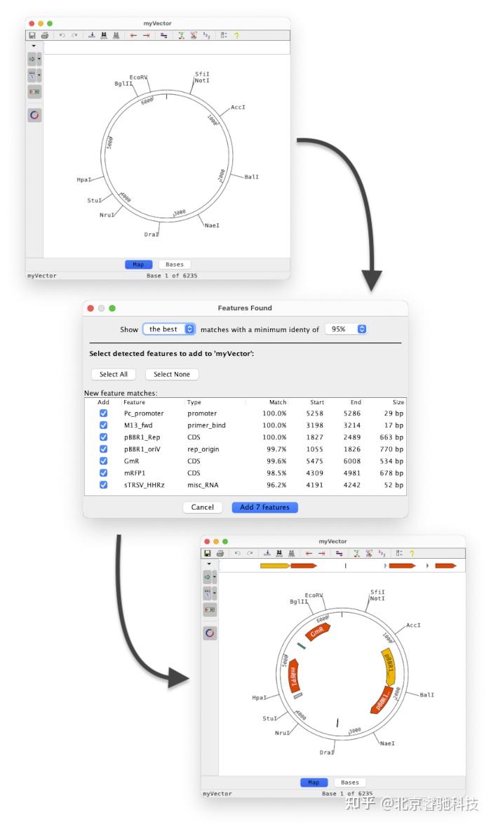 CodonCode Aligner 11.0现已推出 - 知乎
