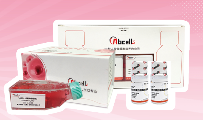 293T 细胞培养攻略！ - 知乎