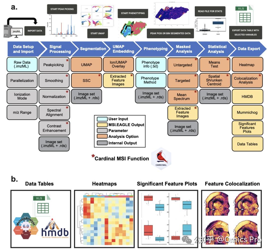 15分钟搞定578个样本！MSI.EAGLE让质谱成像分析零代码 - 知乎
