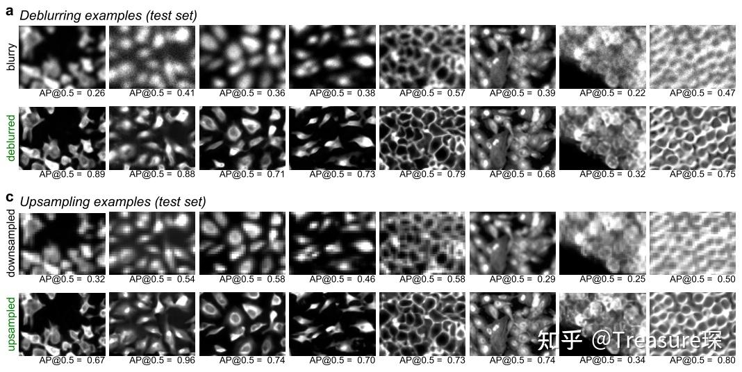 Cellpose 3.0 —— 一键图像恢复+细胞分割 - 知乎