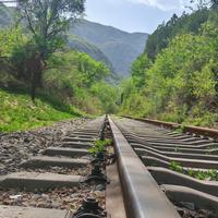 偏微分方程中的一些数学家（Charles Louis Fefferman） - 知乎