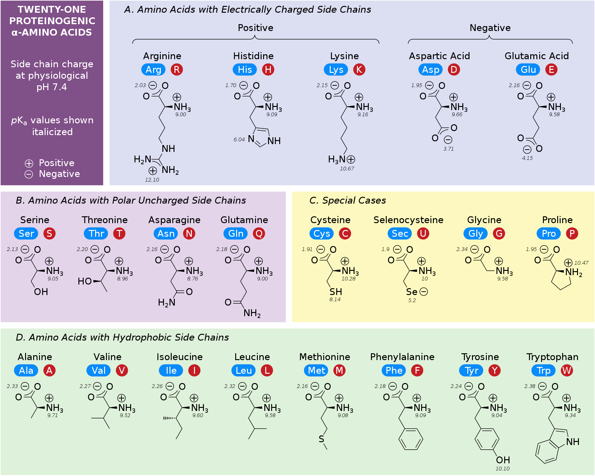 2022 年诺贝尔化学奖授予点击化学和生物正交化学，夏普莱斯第二次获奖，有哪些信息值得关注？ - 知乎