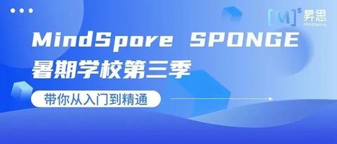 我与华为MindSpore SPONGE的故事 - 知乎