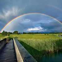 关于Simulink中XY Graph图像的保存问题 - 知乎