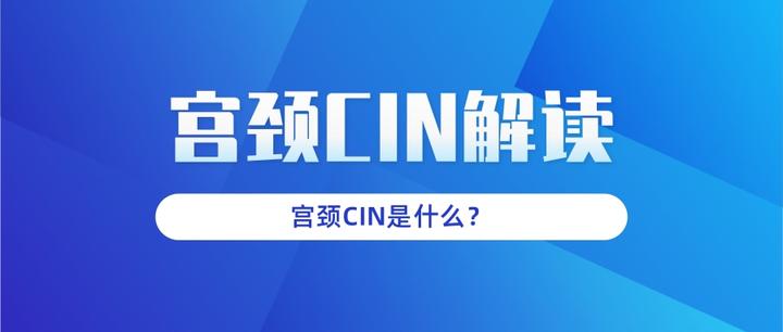 宫颈cin解读 知乎