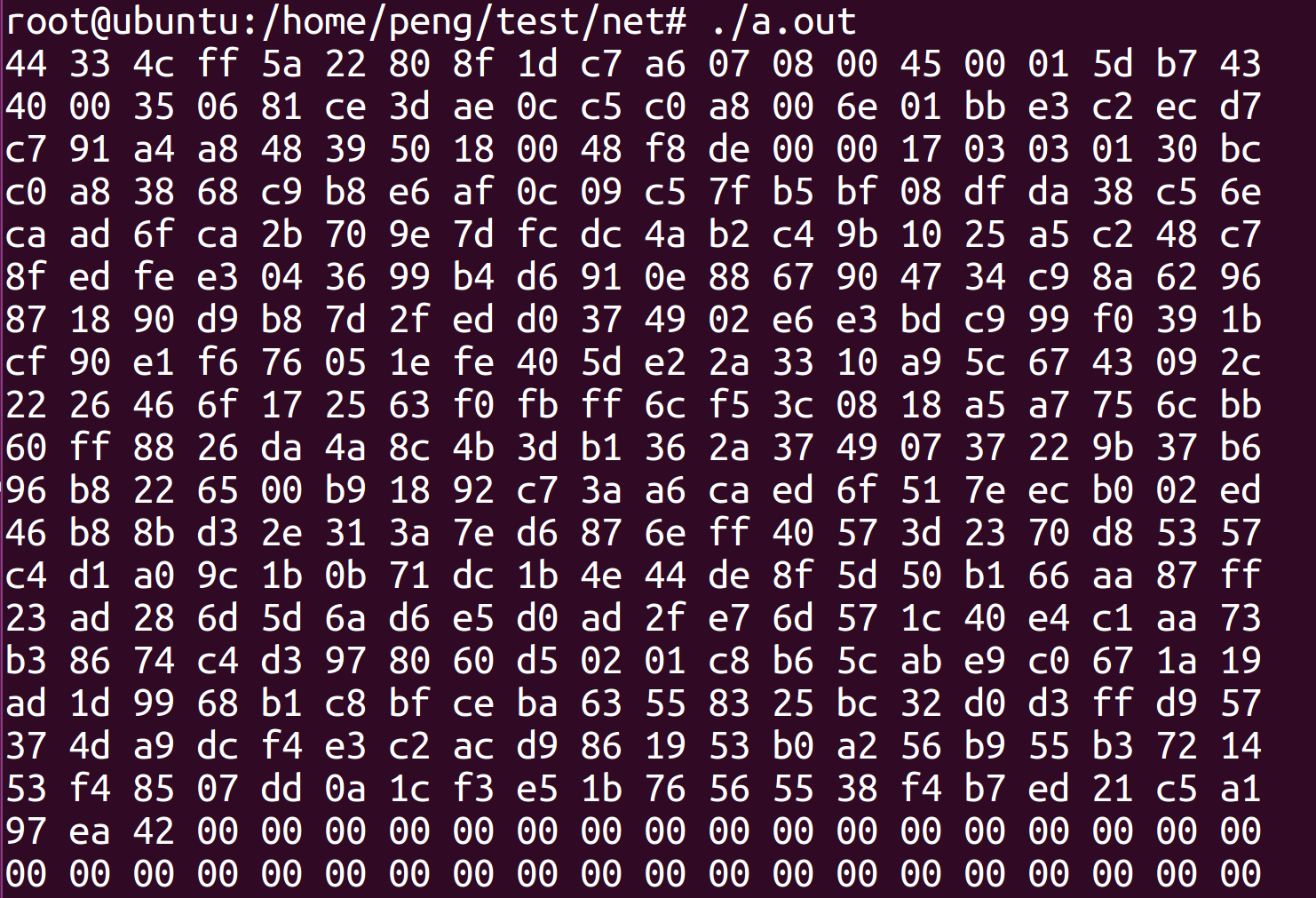 一文教你如何用C代码解析一段网络数据包？【含代码】 - 知乎