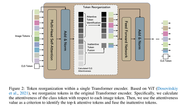 【ICLR2022】Not all patches are what you need: Expediting vision transformers via token ...