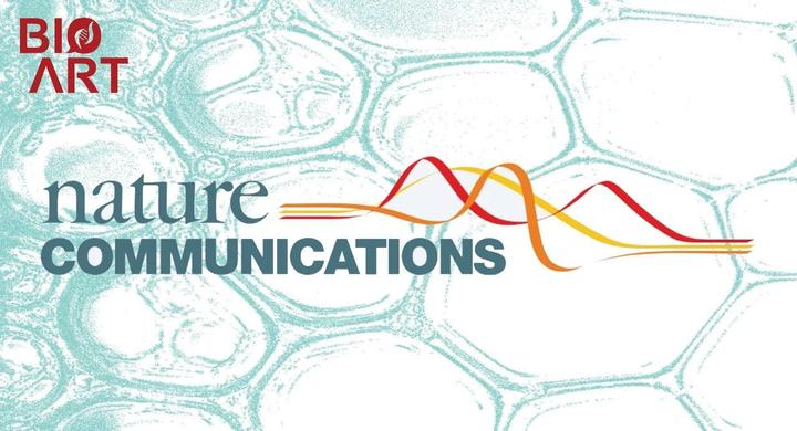 Nat Comm | 可逆共价基团显著提高PROTAC分子在细胞内的累积与靶向参与作用 - 知乎