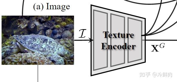 【DGNet】Deep Gradient Learning for Efficient Camouflaged Object Detection - 知乎