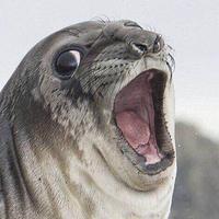 UEGamePlay框架：UObject，Actor，Component - 知乎