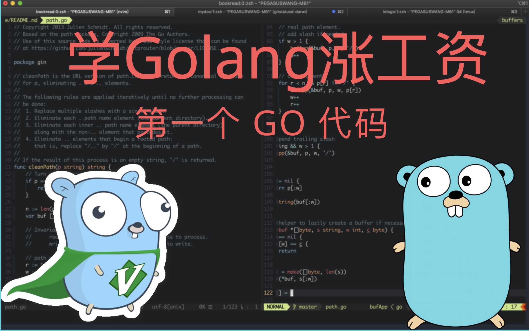 学 Golang 涨工资系列，你的第一个 Go 程序[视频] 知乎