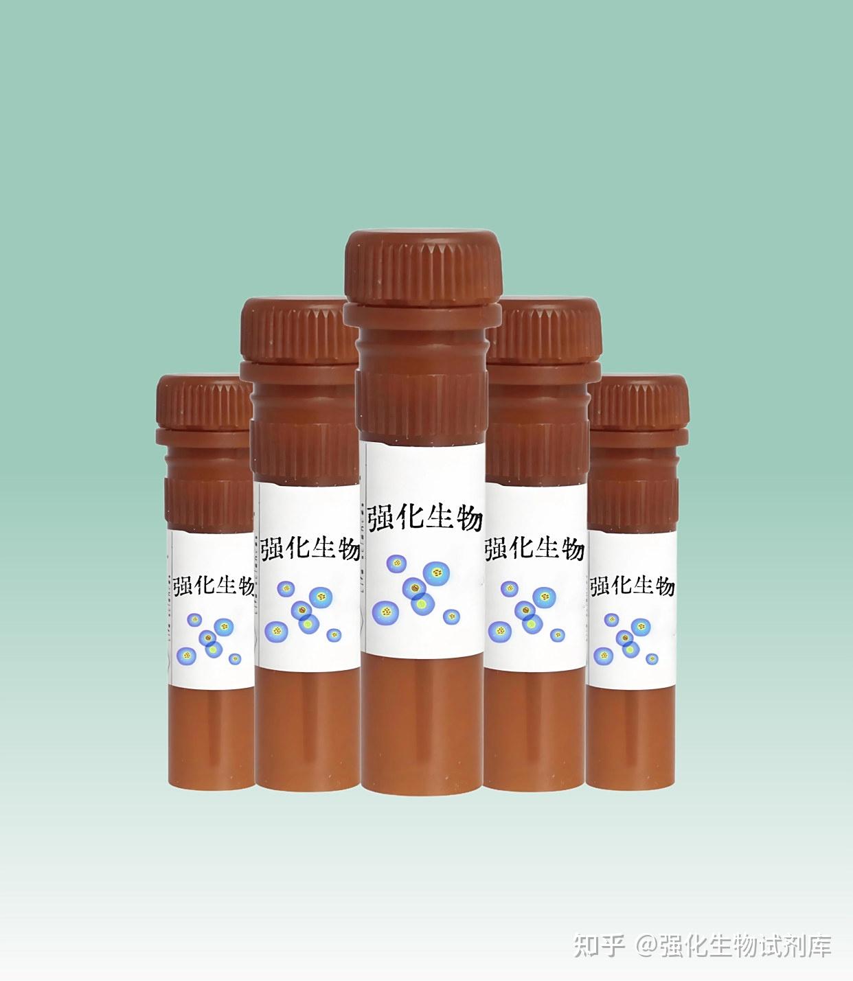 【High-pure Laminin from Mouse EHS sarcoma】高纯小鼠层粘连蛋白的包被步骤 - 知乎