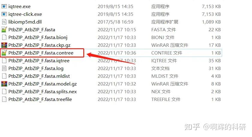 基因家族的系统进化树-基于Windows系统上的iqtree - 知乎