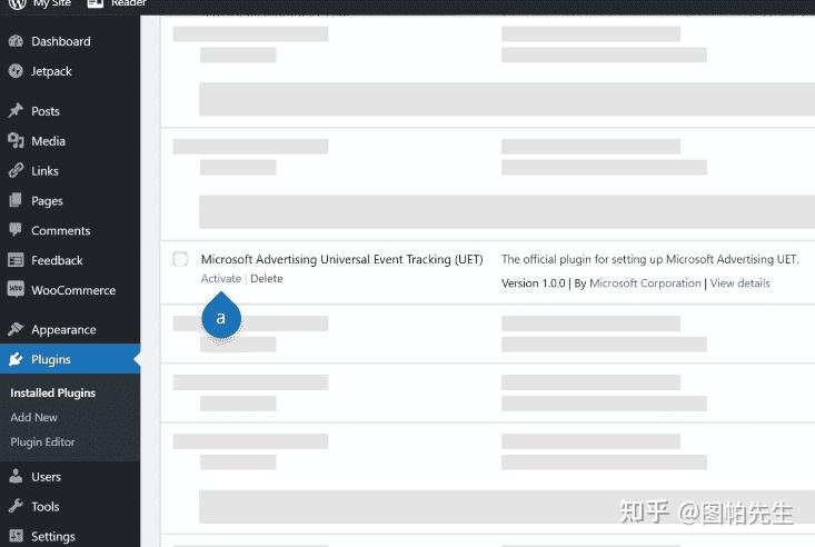 如何在WordPress设置必应广告UET标签 - 知乎