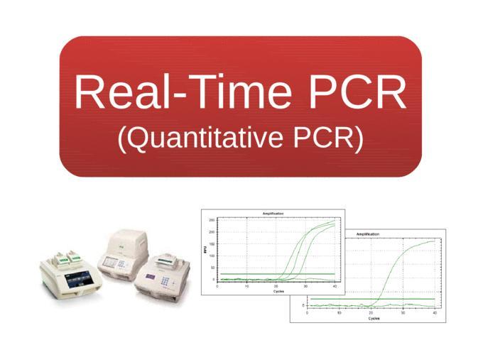 Real Time PCR新手级入门篇-中 - 知乎