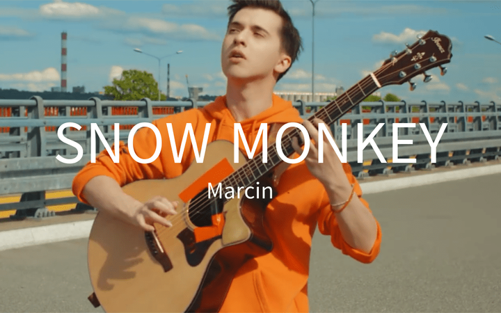 【附谱】收藏级-Marcin – Snow Monkey指弹 - 知乎