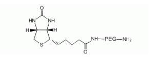 NH2-PEG-Biotin,Amine-PEG-Biotin,氨基聚乙二醇修饰生物素,NH2-PEG3-Biotin - 知乎