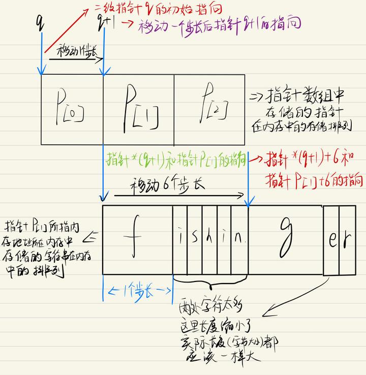 C语言：关于二级指针之指向指针数组的指针的理解和操作 - 知乎
