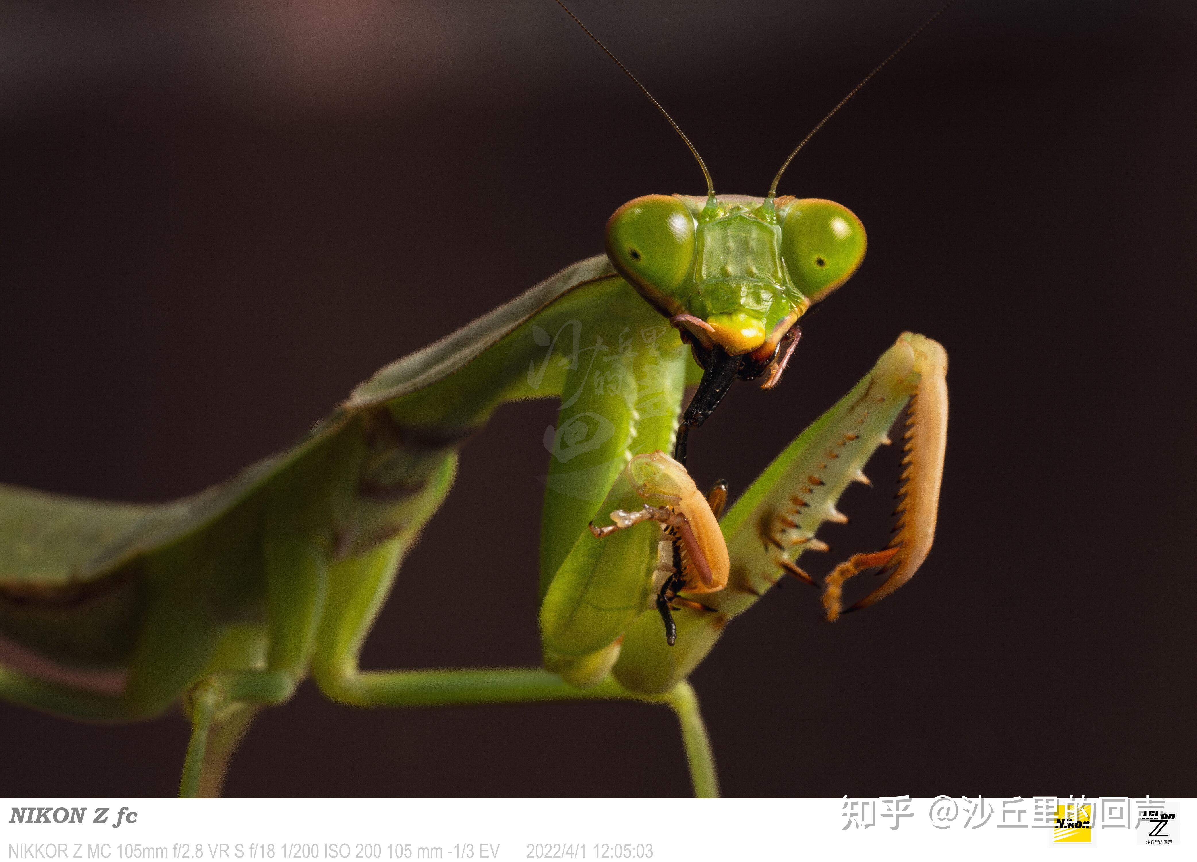 新手小白，2W到头的预算，是选z502还是z52？ - 知乎