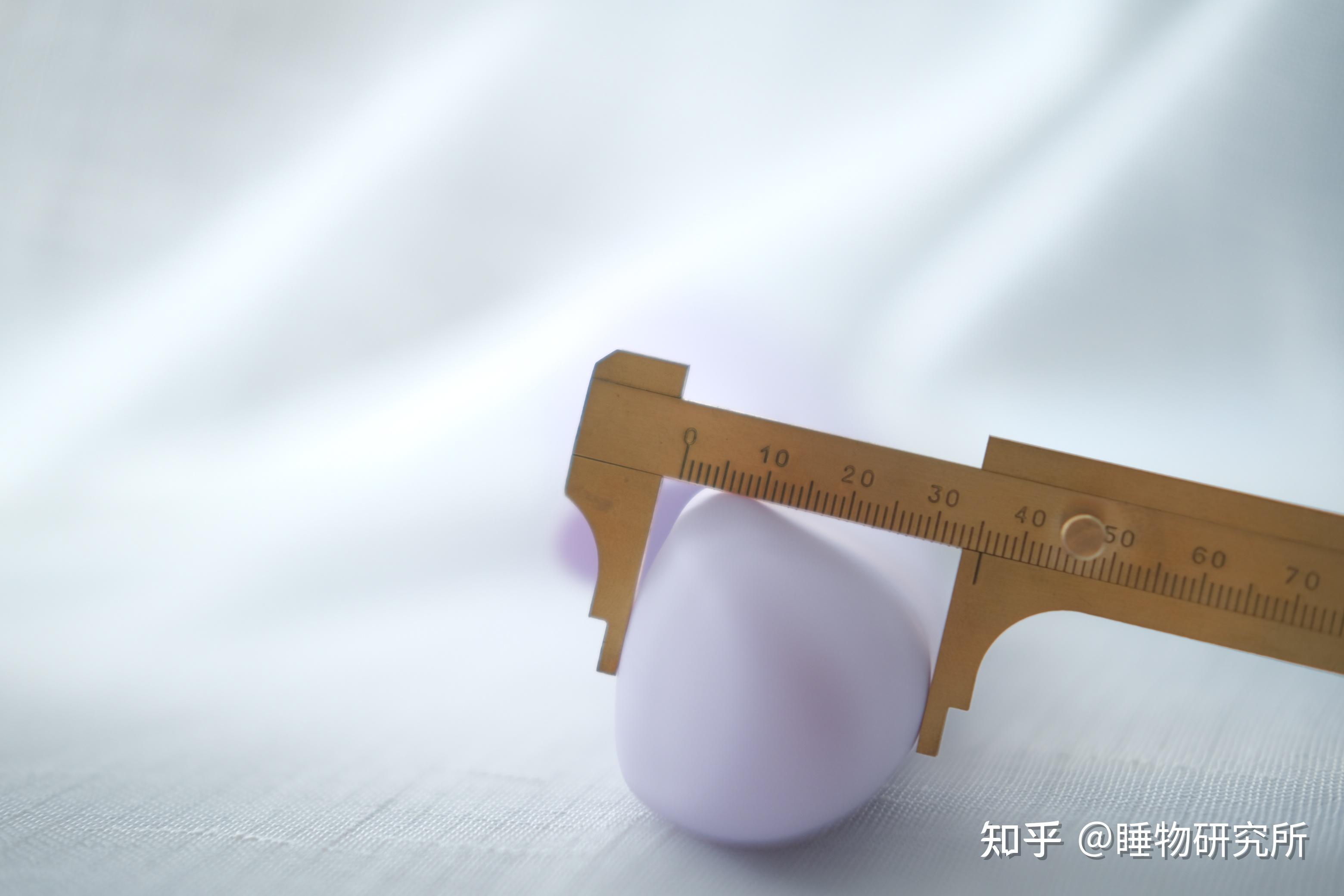 睡物测评Vol.40——TITILLO萌芽 - 知乎