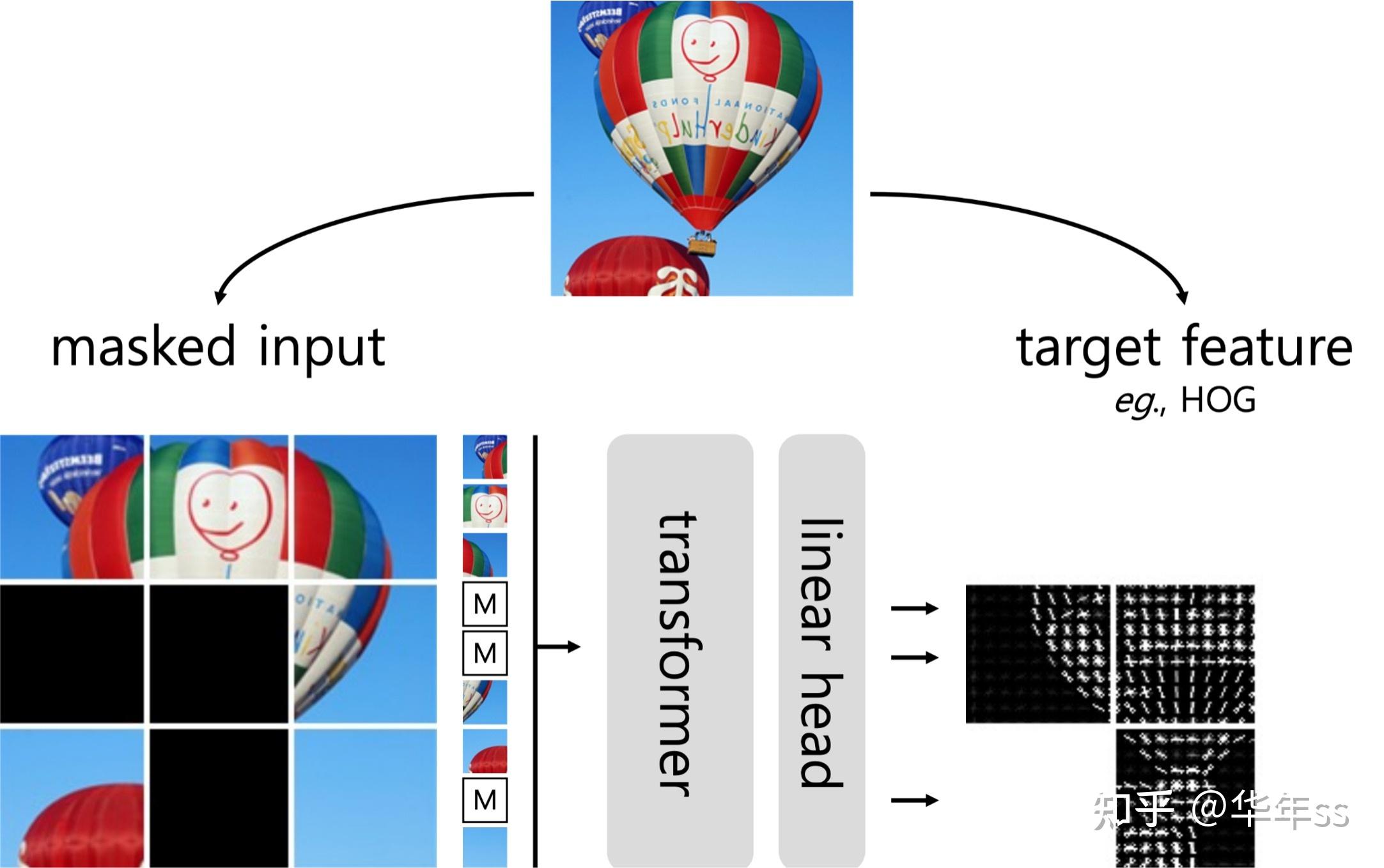 如何评价 Kaiming 团队新作 Masked Autoencoders (MAE)？ - 知乎