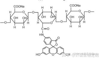 绿色荧光素标记海藻酸钠；FITC-Alginate；CY3、CY5、CY5.5、CY7标记海藻酸钠 - 知乎