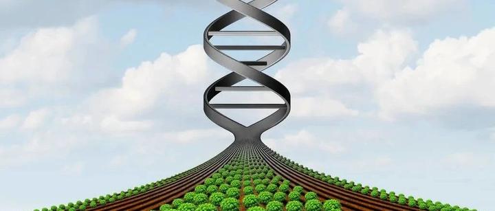 使用TASSEL学习GWAS笔记（1-6）完整版 - 知乎