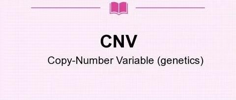 R语言合并TCGA中CNV矩阵 - 知乎