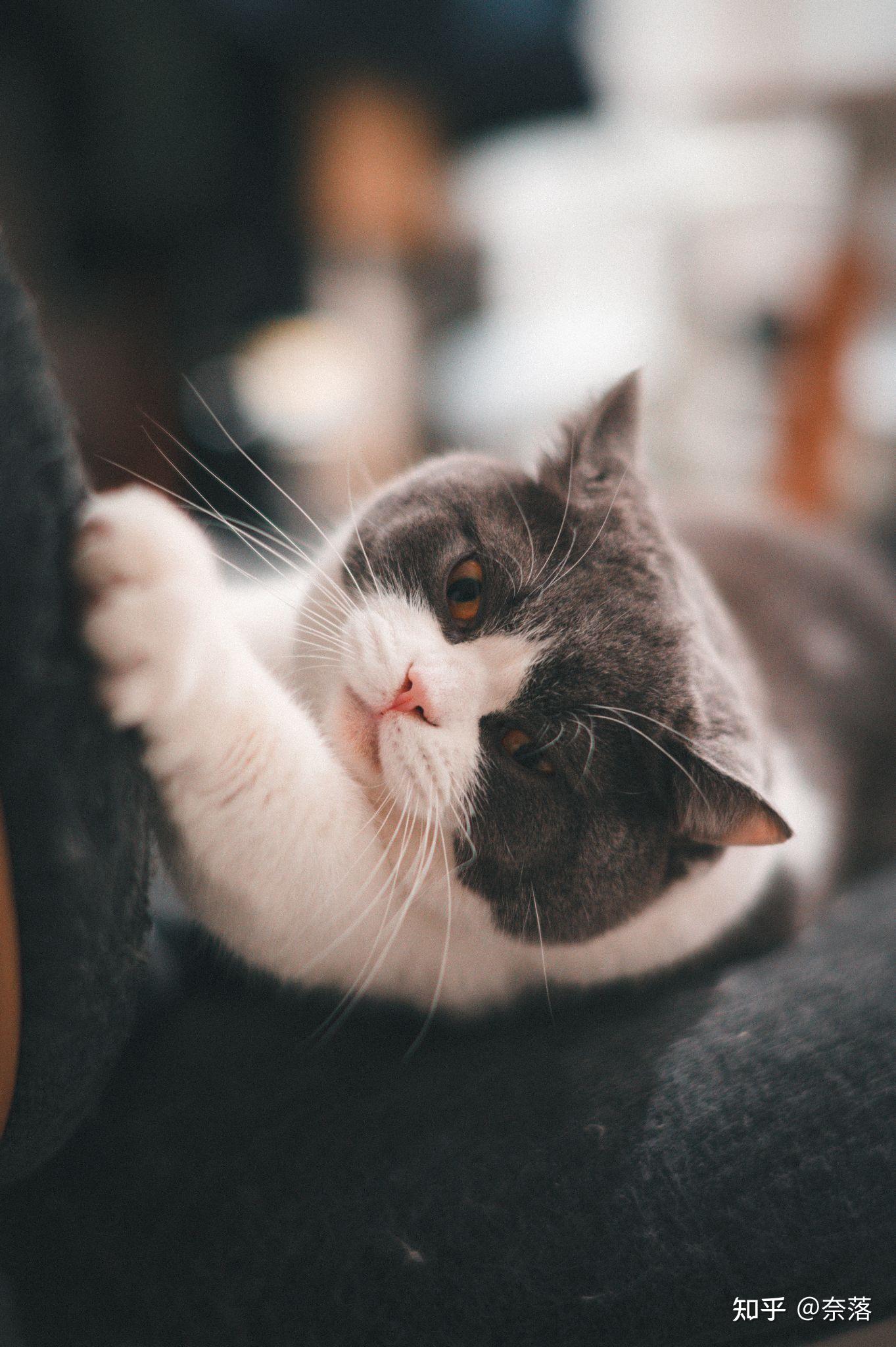 如何评价尼克尔 58mm 1.4g这个头？ - 知乎