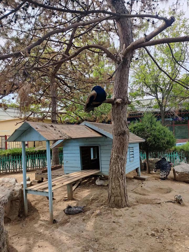 Zookeeper（一）：单机安装与使用 - 知乎