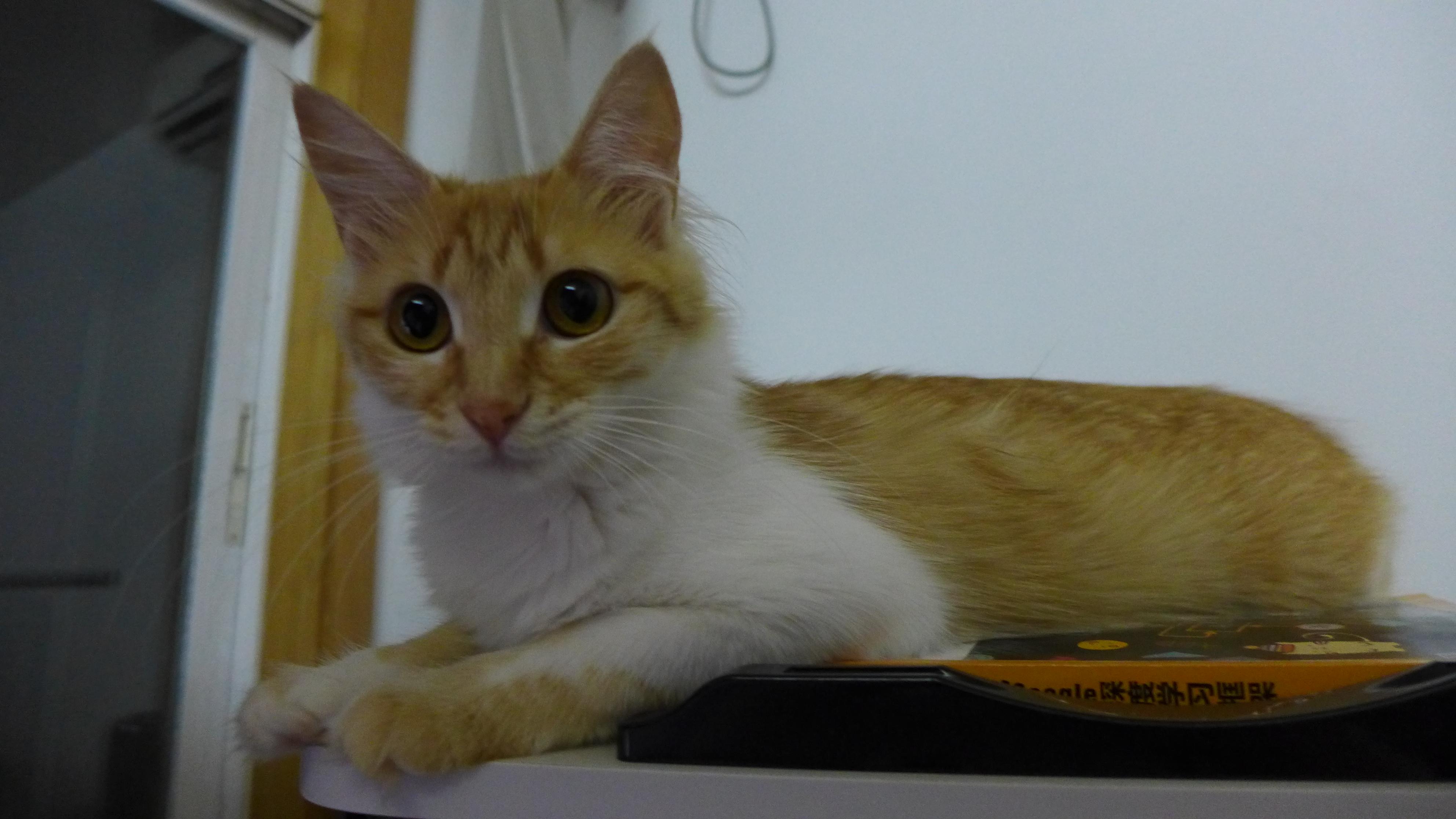 使用python包ipyparallel包开始集群并行计算 - 知乎