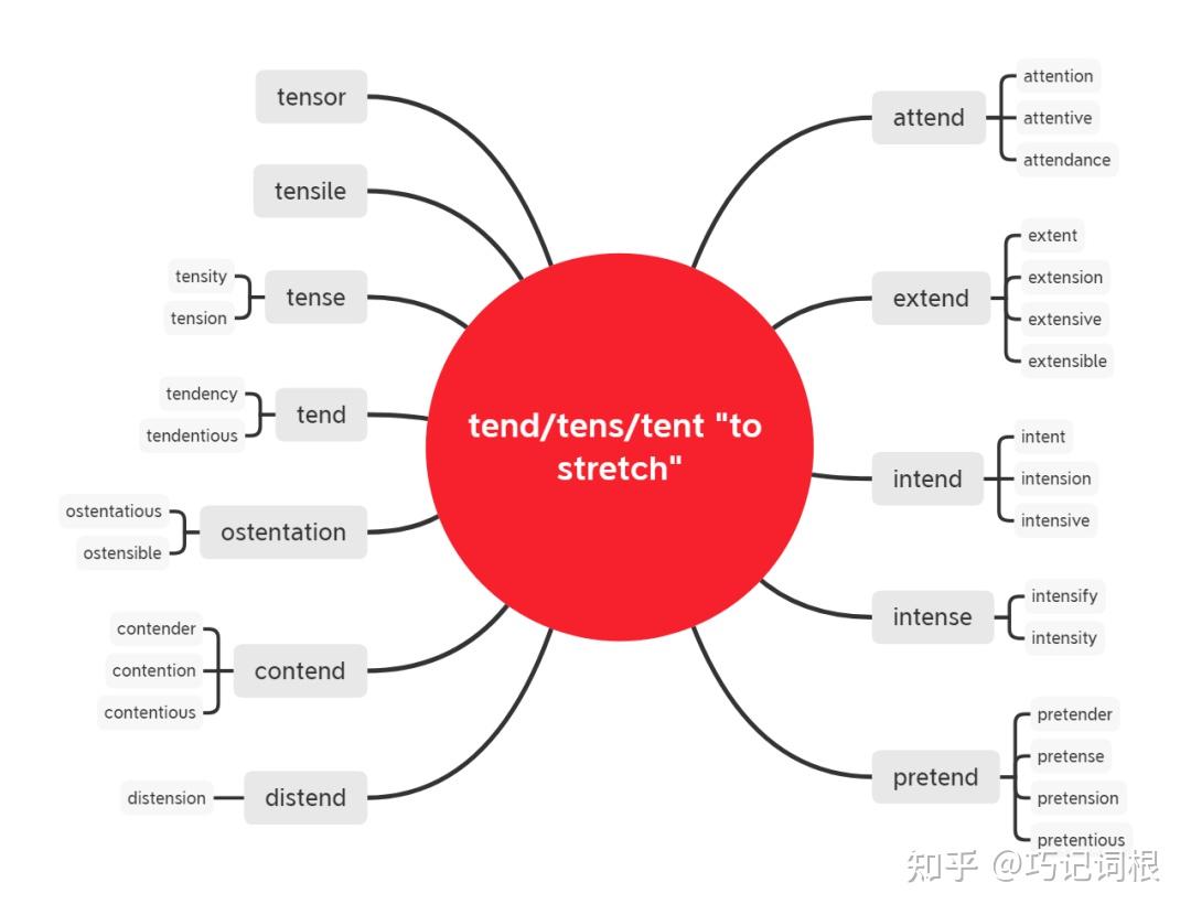 词根系列 | TEND/TENS/TENT "to stretch" - 知乎