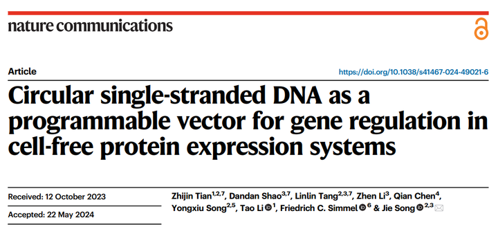 Nat. Commun.【前沿】 |环状单链 DNA 作为无细胞蛋白表达系统中基因的可调控载体 - 知乎