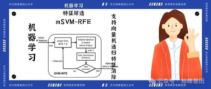 MachineLearning 32. 机器学习之支持向量机递归特征消除的特征筛选 (mSVM-RFE) - 知乎