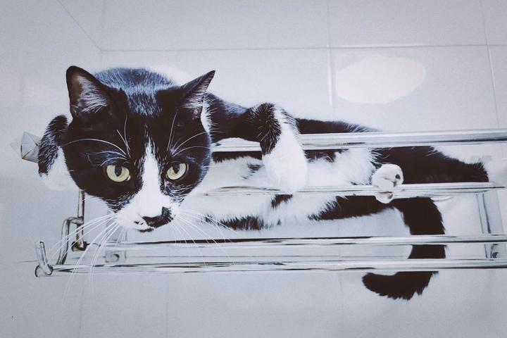 Vue3.3 发布：十分钟速递 - 知乎