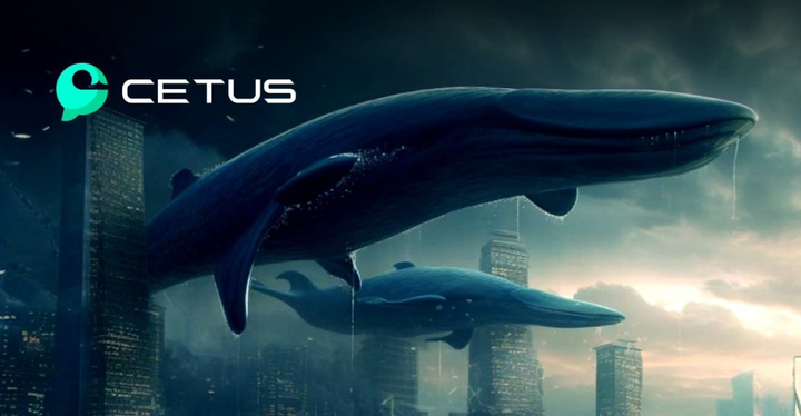 AC Capital：我们为何要投资Cetus - 知乎