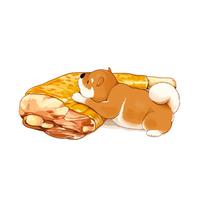 mac如何安装git-lfs，以及modelscope的使用示例 - 知乎