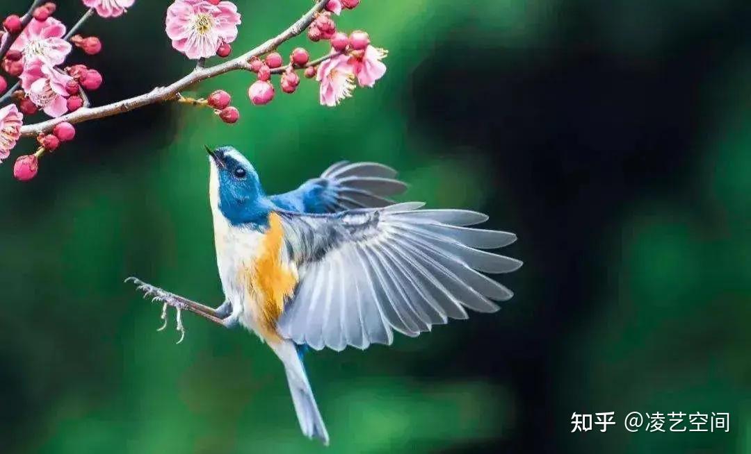 怎样有效安慰别人？ - 知乎