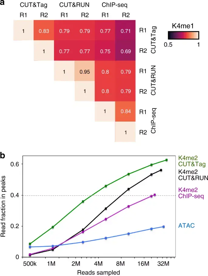 还在辛辛苦苦做ChIP？CUT&Tag技术了解下吧 - 知乎