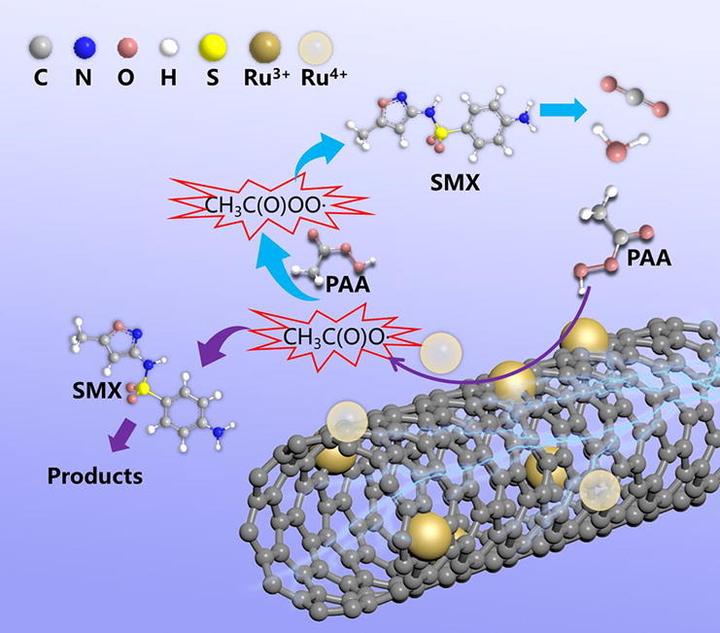 东华大学高品团队CEJ：RuO2/MWCNTs活化过氧乙酸，中性介质下降解磺胺甲恶唑！ - 知乎