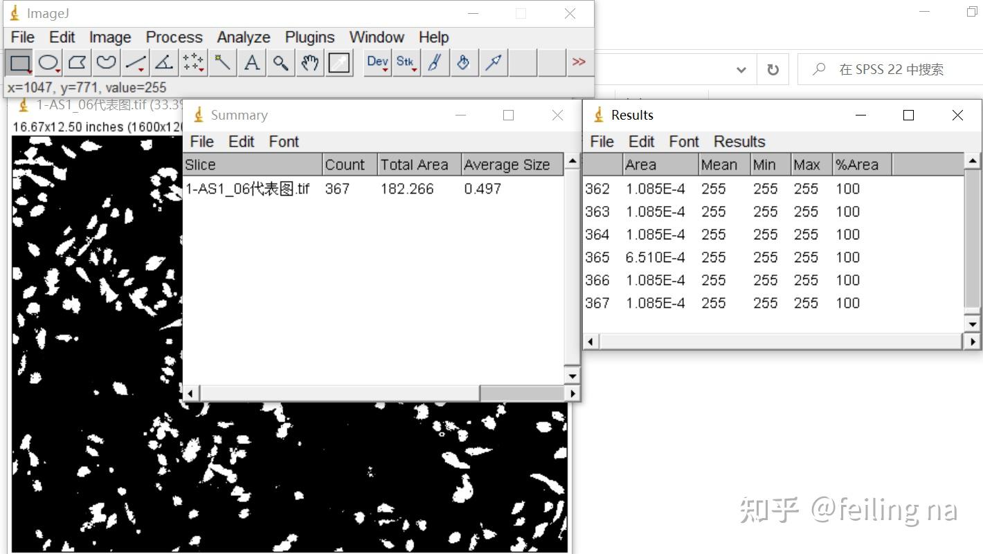 有哪些实用的ImageJ使用技巧？ - 知乎