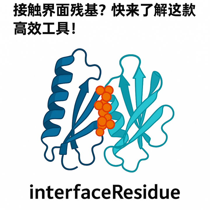 如何用PyMOL插件精准识别蛋白质复合物的接触界面残基？快来了解这款高效工具！ interfaceResidue插件 - 知乎