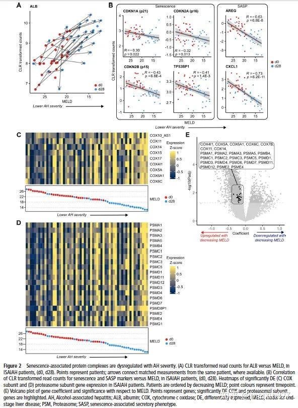 Gut（IF=23.1）|| 纵向配对肝活检和转录组分析揭示酒精相关性肝炎中细胞衰老的动态变化 - 知乎