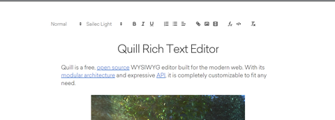 富文本编辑器Quill 介绍及集成在VUE中的用法 - 知乎