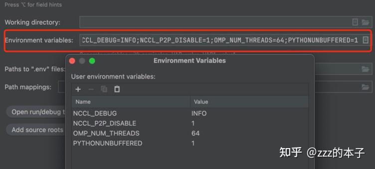pytorch使用DDP进行分布式训练遇到的坑(不停更新) - 知乎