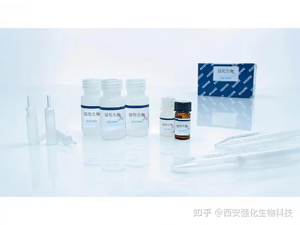 Fc Receptor Blocking Solution, Mouse一种用于阻断小鼠Fc受体与IgG非特异性结合的试剂 - 知乎