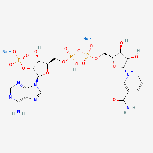 NADP； 氧化型辅酶II - 知乎