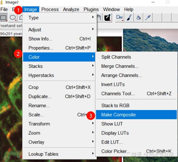 如何用imageJ做merge图? - 知乎
