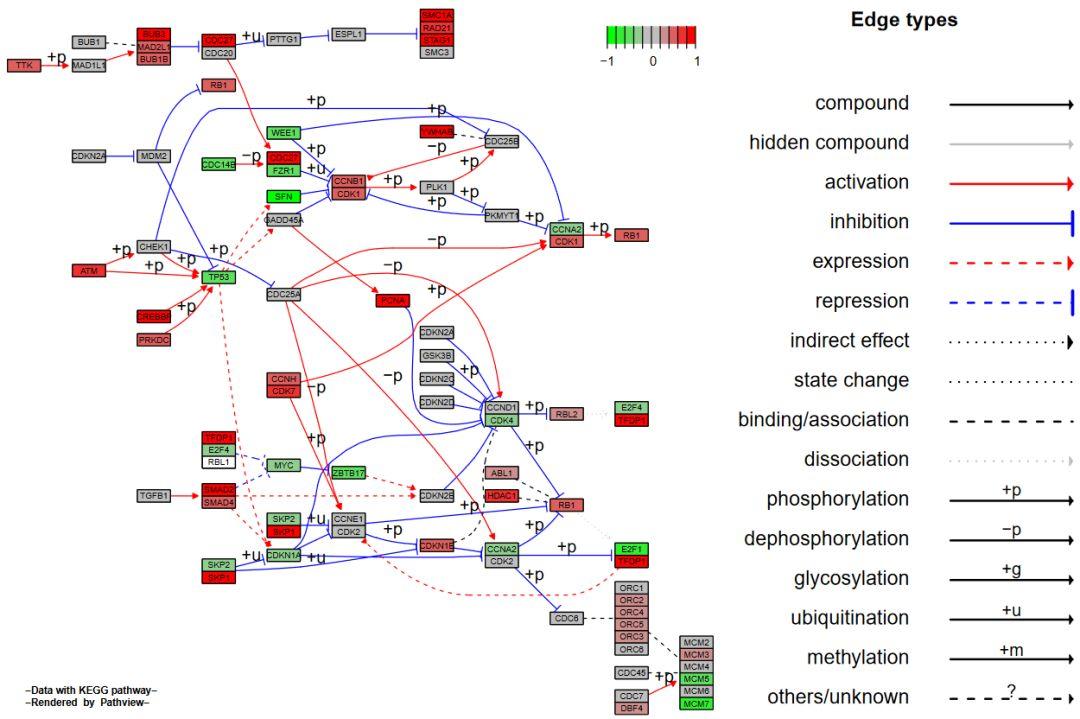 Pathview包：整合表达谱数据可视化KEGG通路 - 知乎