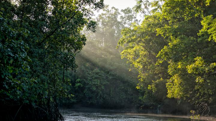 Pytorch的Softmax、LogSoftmax和LogSigmoid - 知乎